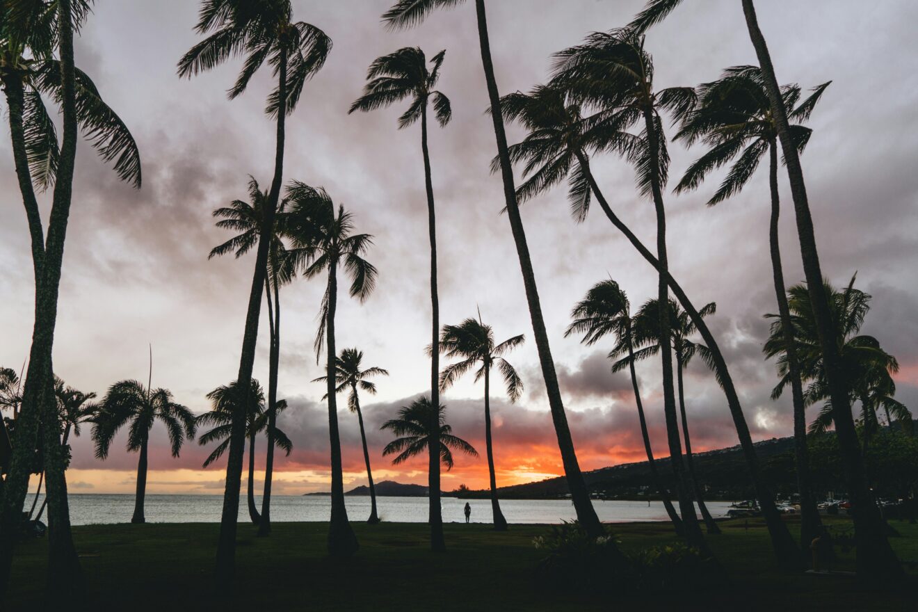 History of Surfing in Hawaii: From Ancient Roots to Today - Hawaii.surf